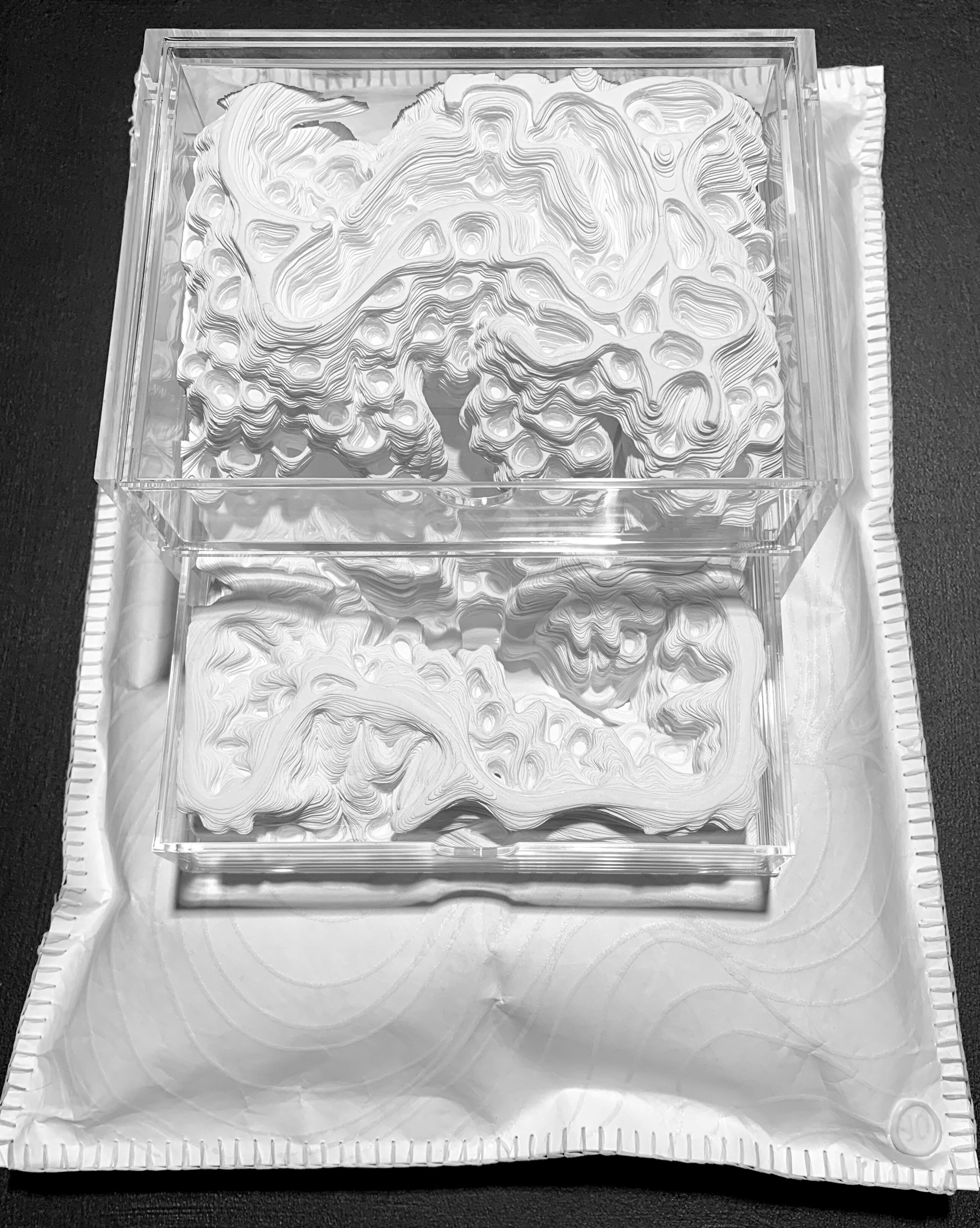 Sculpture by Artist Jacky Cheng