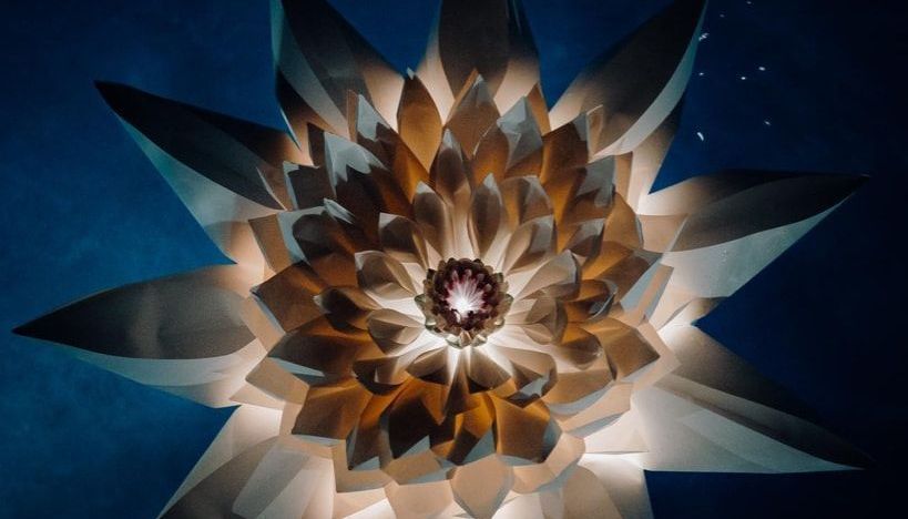 Artist Jacky Cheng | Paper Sculpture | Paper Art | Installation